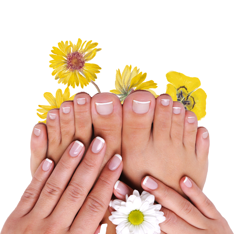 Collate Nails | Home