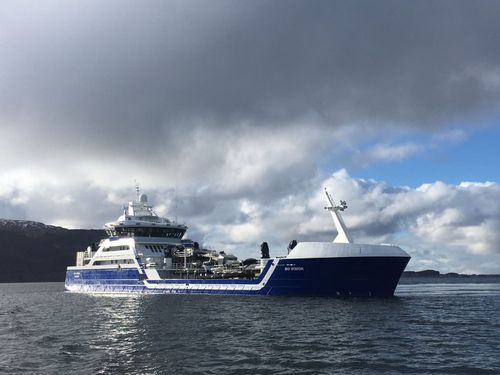 Rostein | Rostein Zero