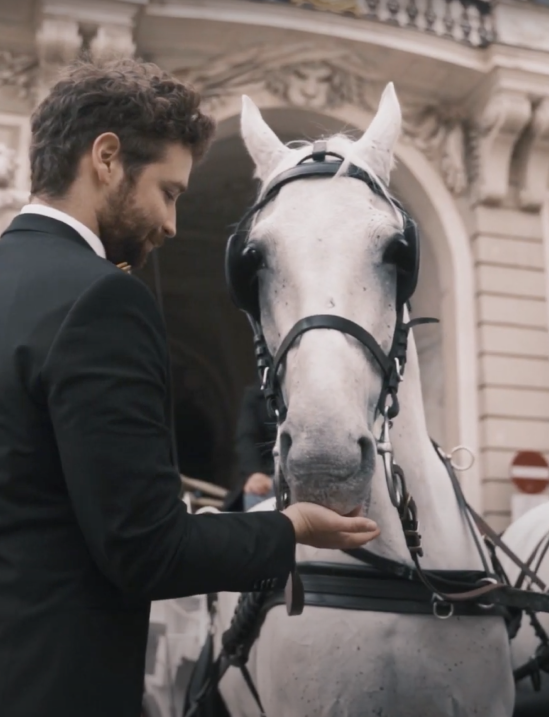 WIEN: DINNER IM FIAKER | Ihre kulinarische Fiakerfahrt