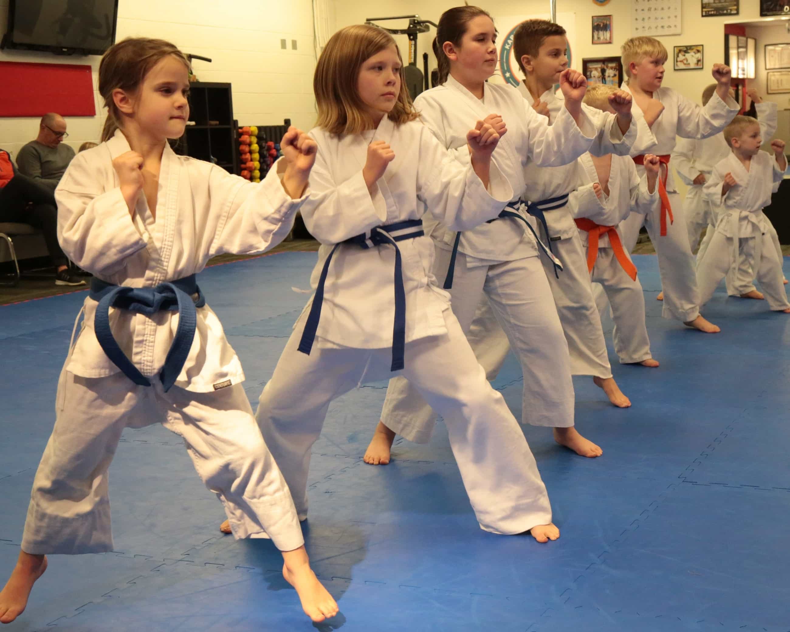 Karate Northwest - About