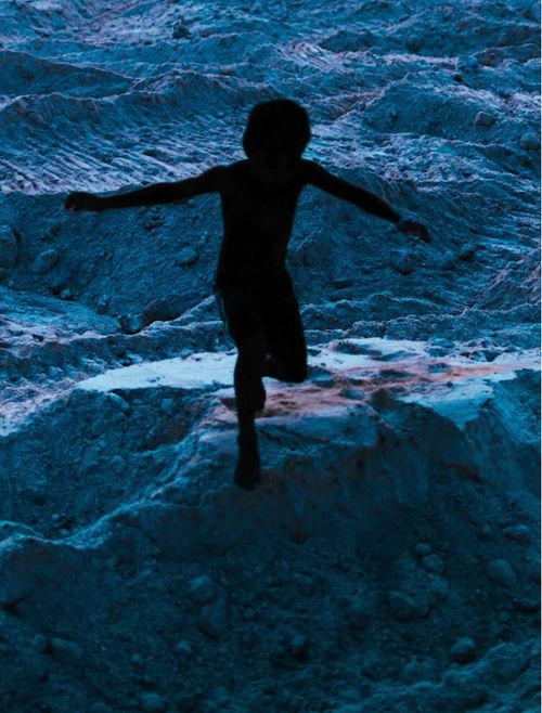 The Home of Climate Cinema