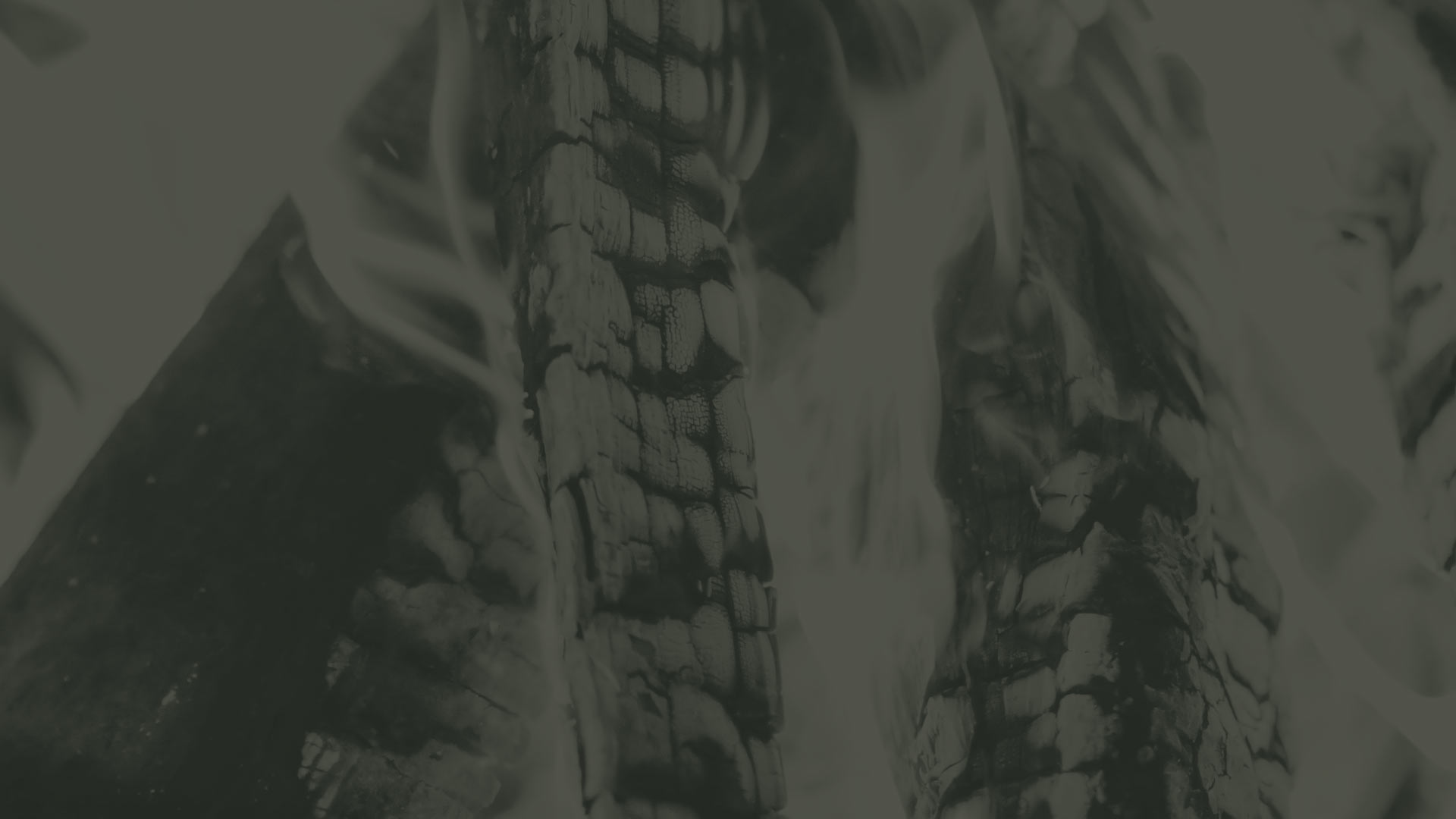 Ember Archaeology Case Study | Habit