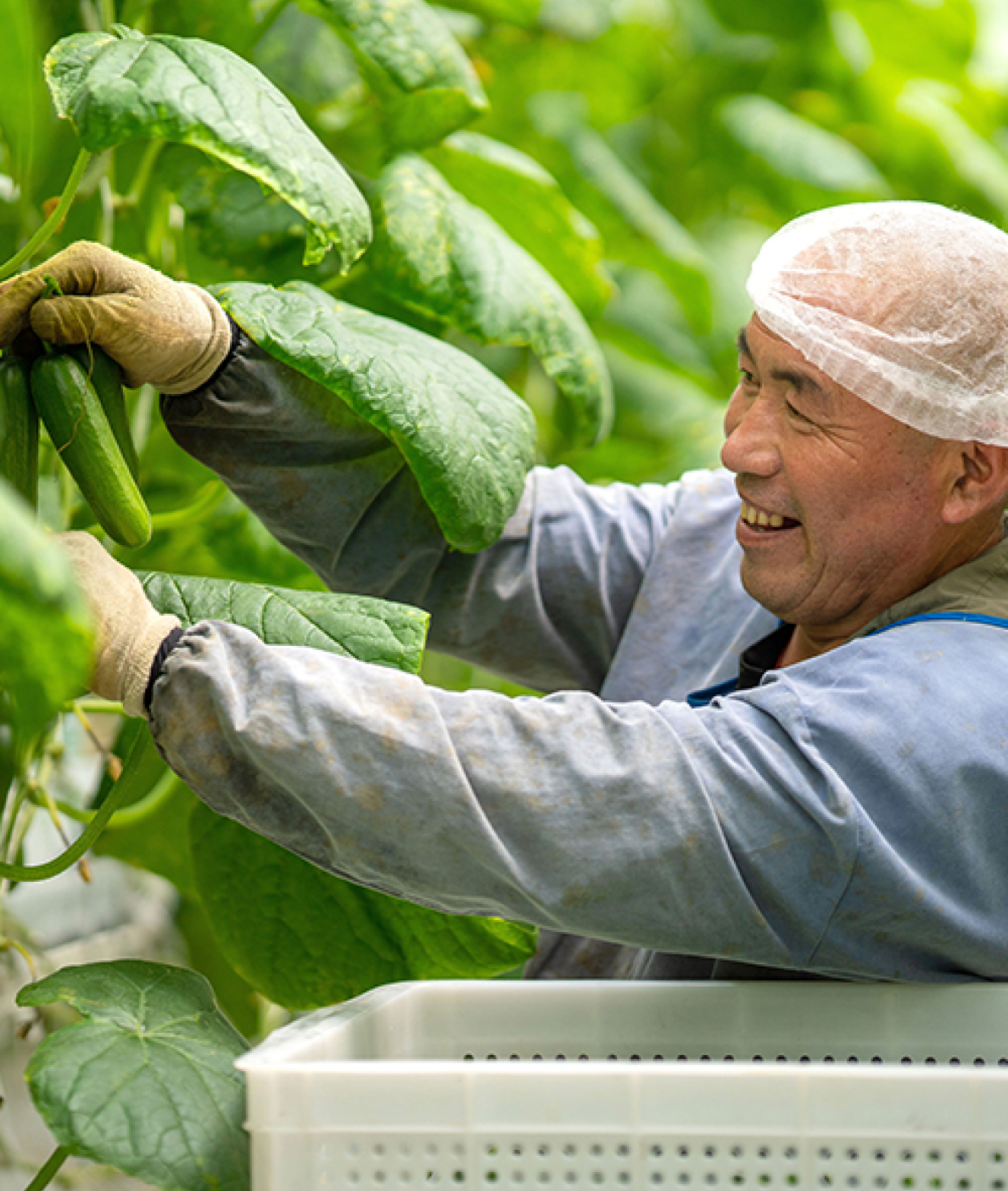 Grow As One | Certhon