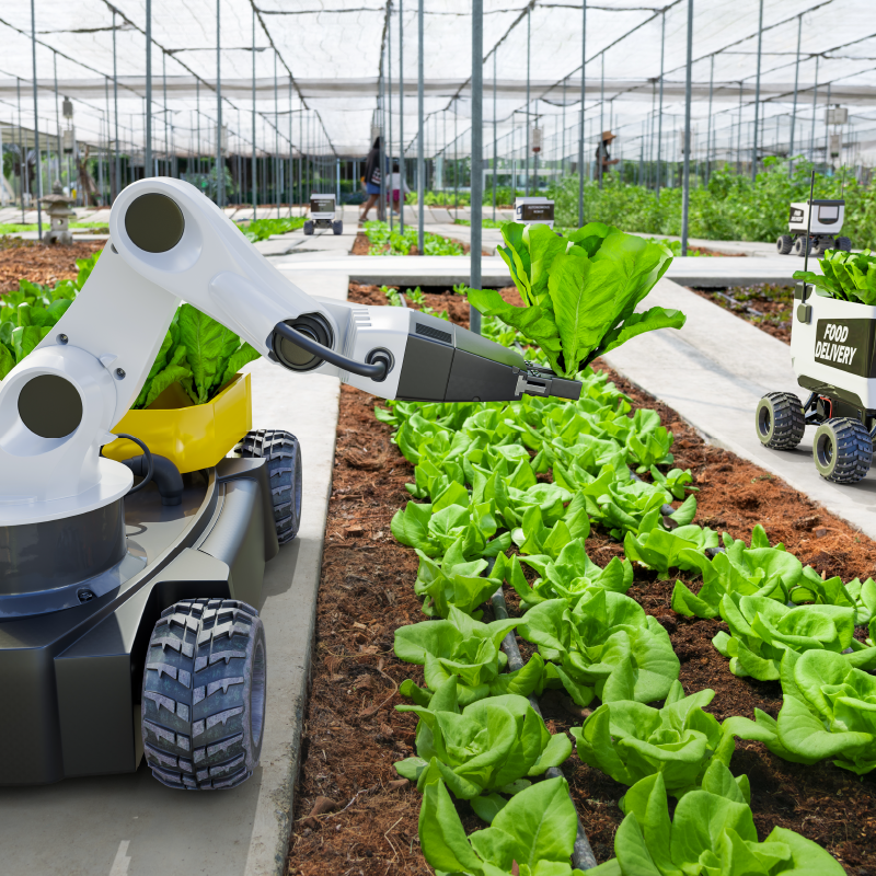 Transforming traditional farming into smart food factories
