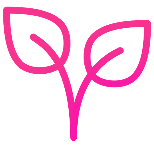 Smart Girls Foundation