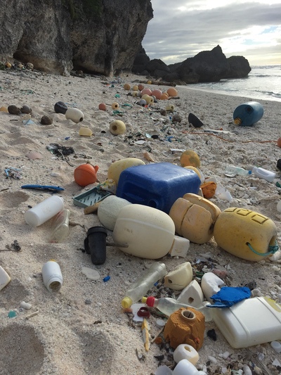 Henderson Island Plastic Pollution Expedition | Howell Conservation Fund