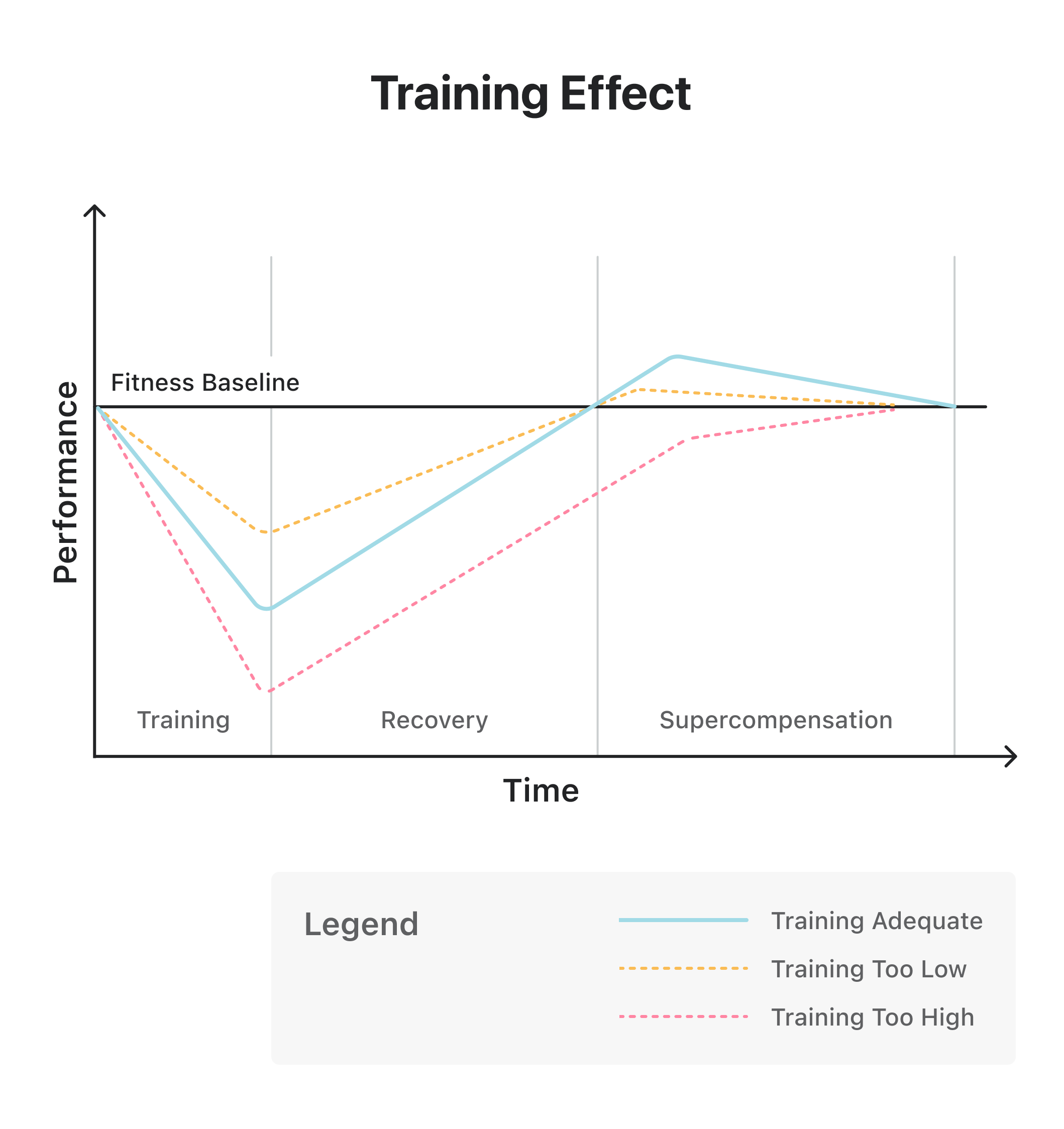 Maximize Performance with Periodization Training