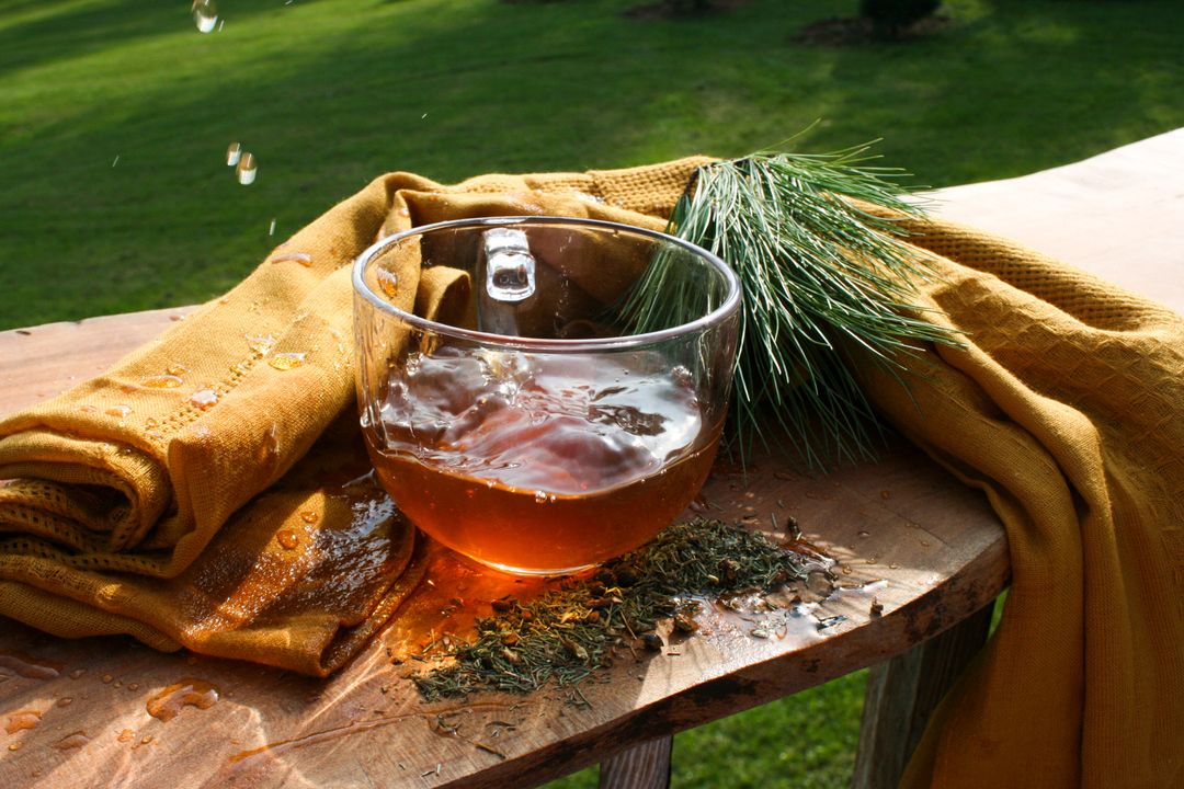 Pine Needle Tea Enhanced With Juniper + Thyme