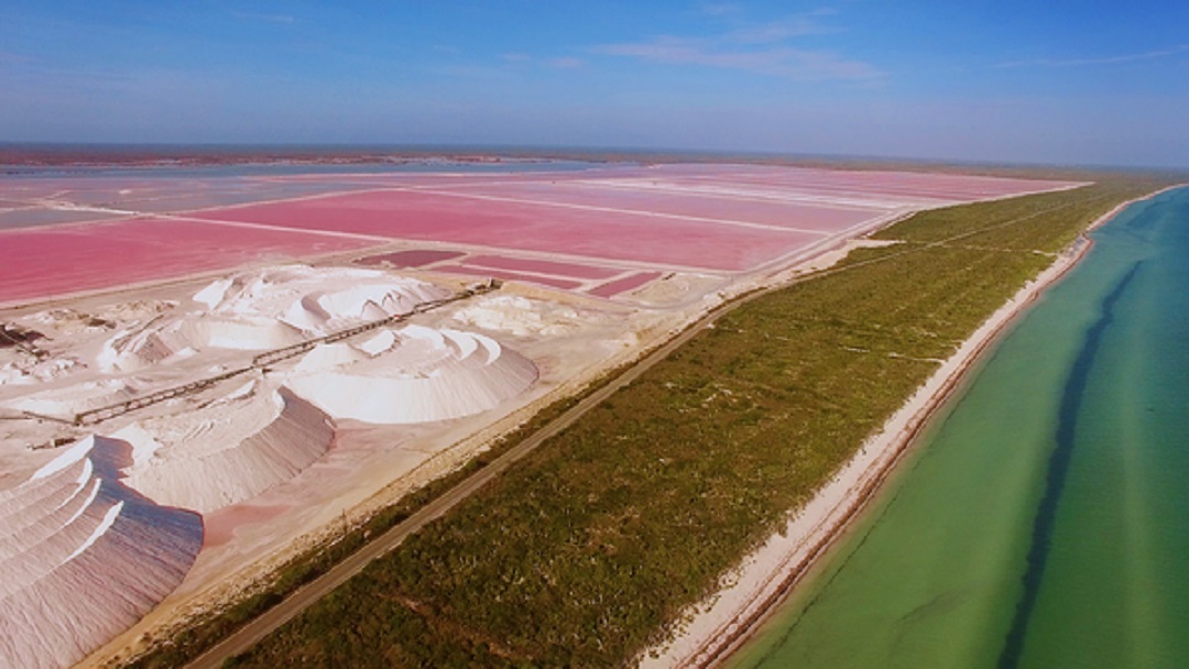 ¿Por qué es rosa el agua de Las Coloradas, Yucatán?