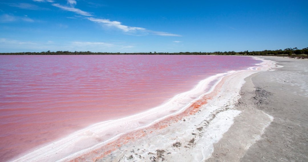¿Por qué es rosa el agua de Las Coloradas, Yucatán?