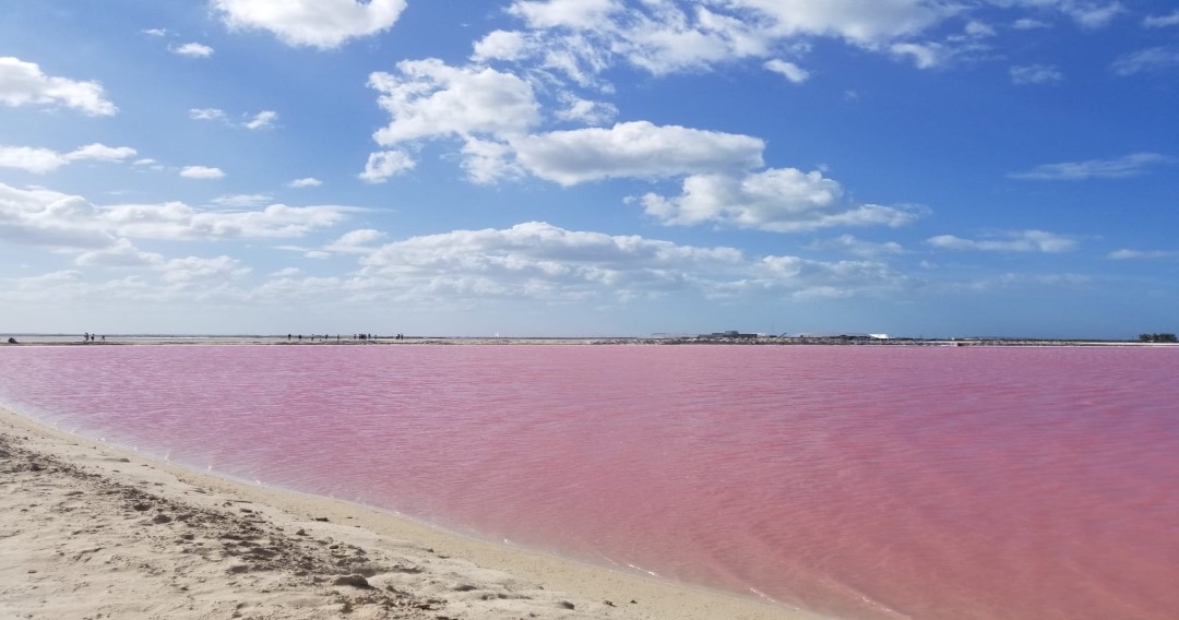¿Por qué es rosa el agua de Las Coloradas, Yucatán?
