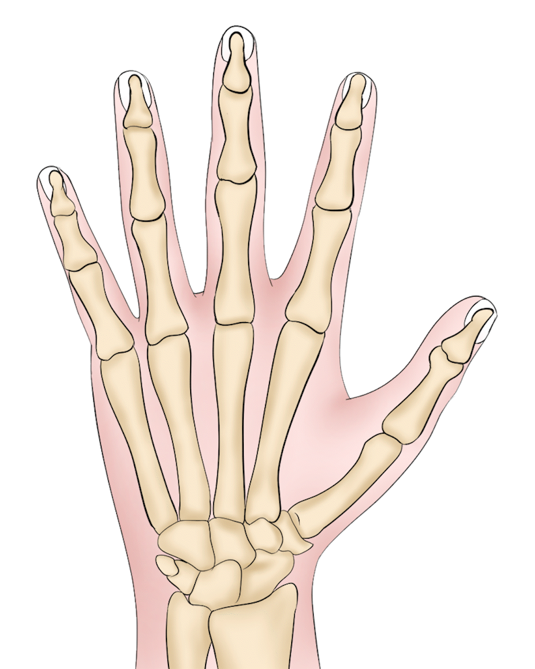 KOMPRESSIFY Super Knee