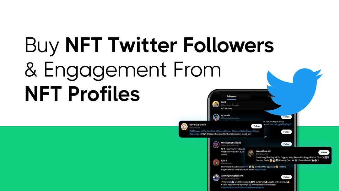 Buy NFT Twitter Followers with NFT profile pictures, bios and activity