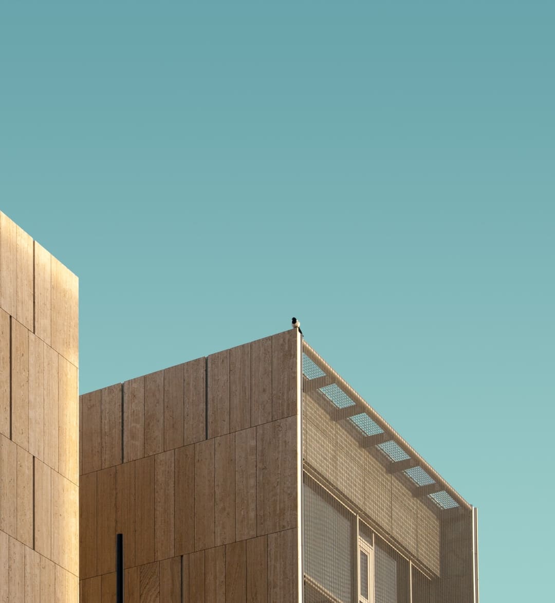 Arcology – Architecture + Ecology