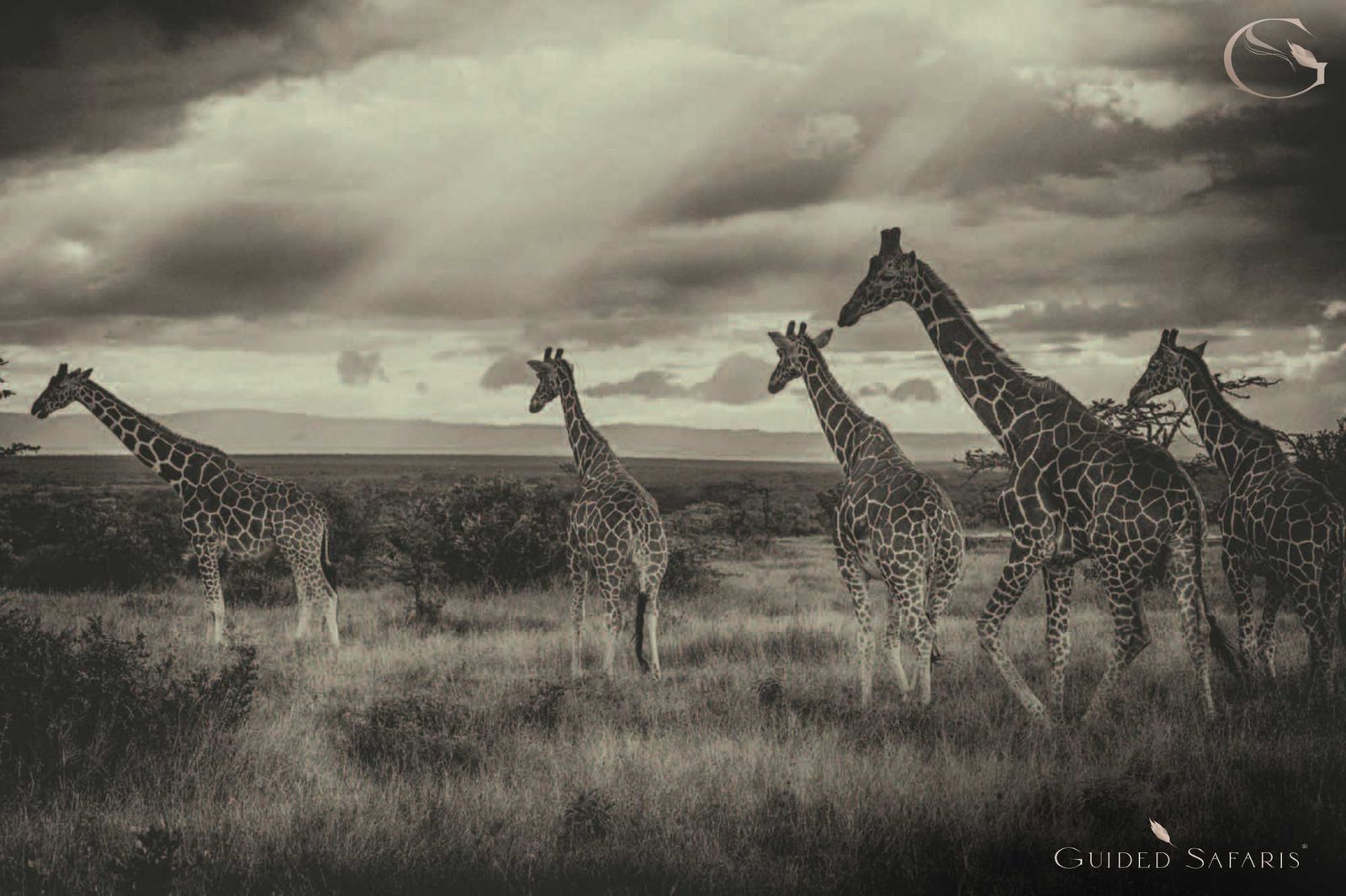 Segera Retreat, Kenya - Luxury Safari Lodges