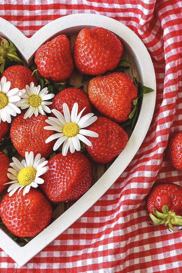 50+ Insanely Cute Summer Bucket List Ideas + FREE PRINTABLE