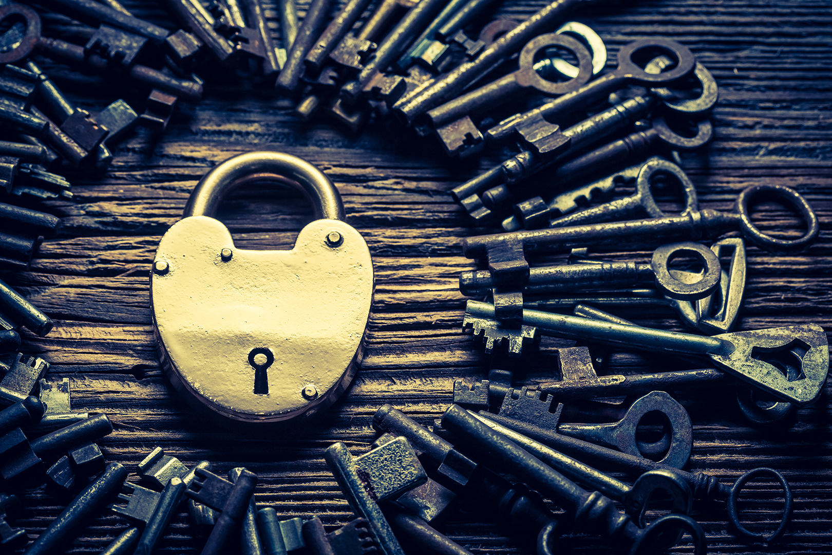 Sally Wilson | UNLOCKING ‘US’