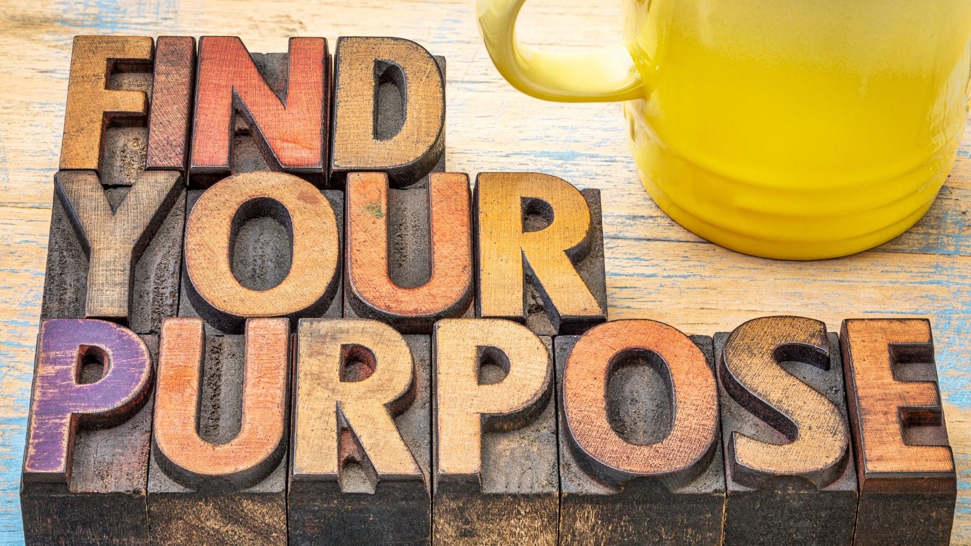Louise Nealon | The Importance of Purpose - Part 1