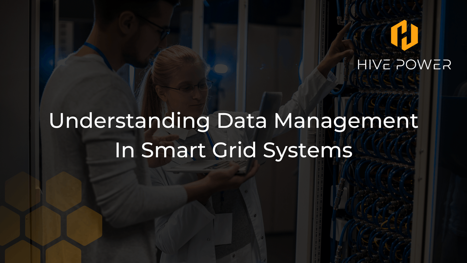 Understanding Data Management In Smart Grid Systems