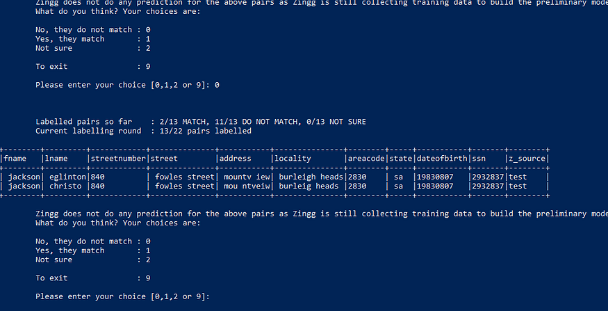 Zingg entity resolution documentation