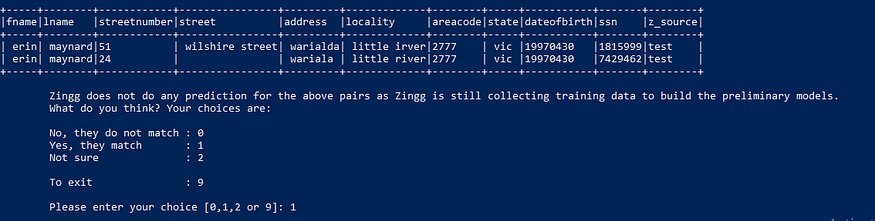 Zingg entity resolution documentation