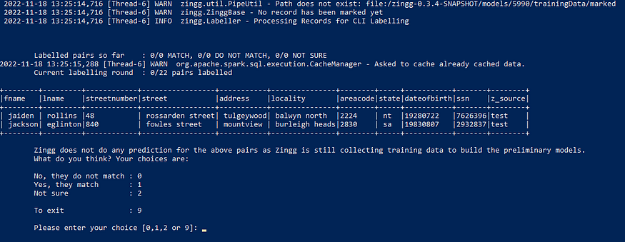 Zingg entity resolution documentation
