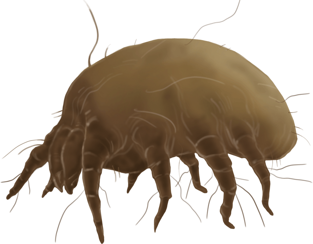 Pixa Company - Pest Management Services