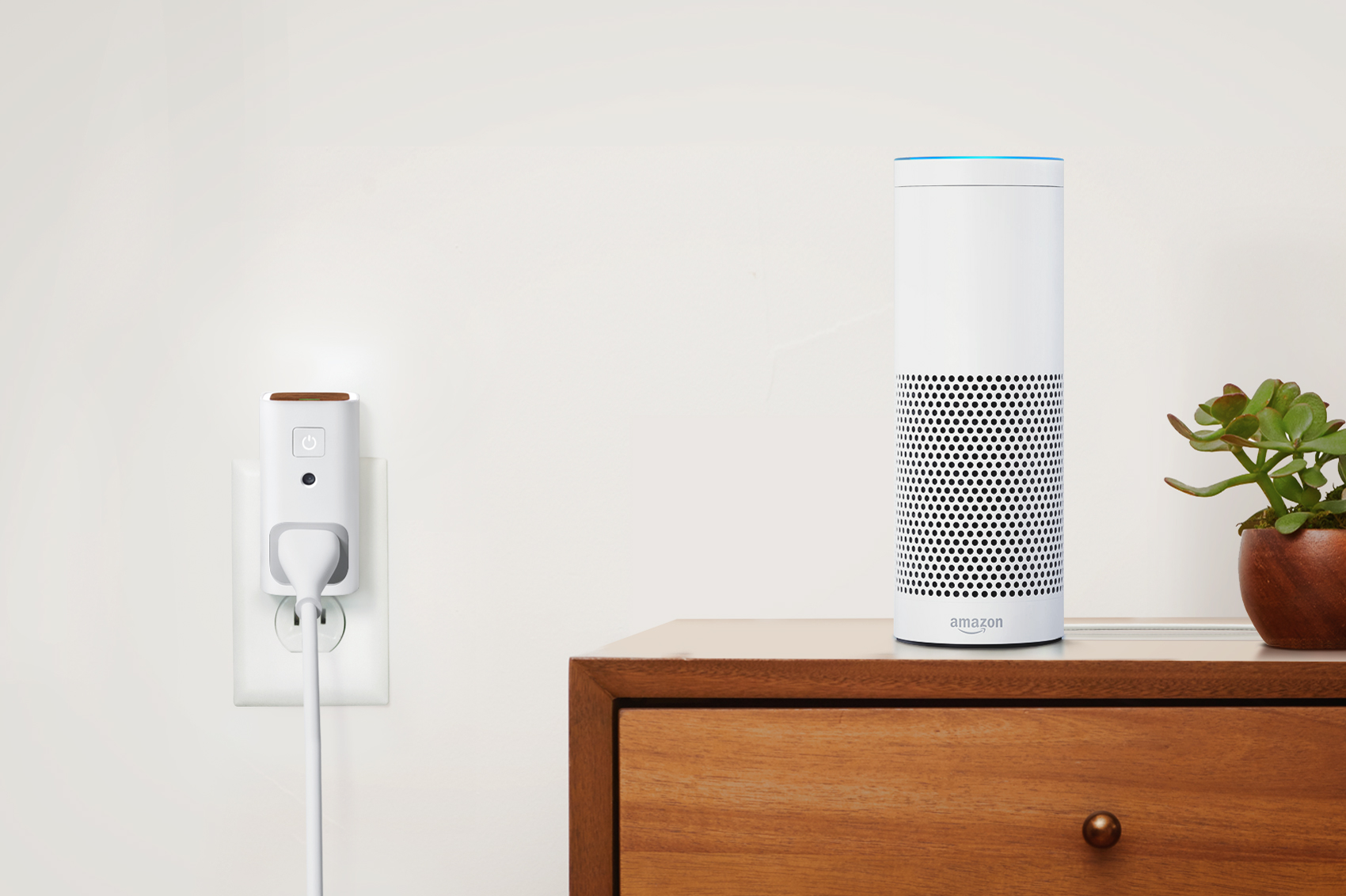 Awair Glow Connects With Amazon Alexa