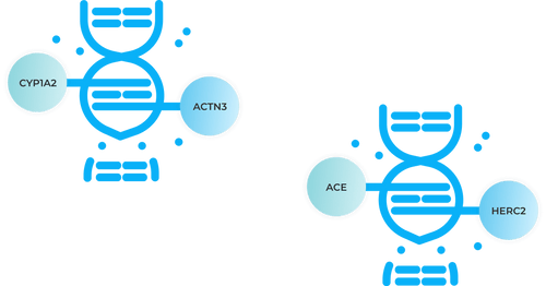FitnessGenes | Science