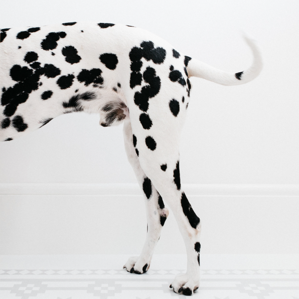 Nick McClish | Brand, Product & Growth