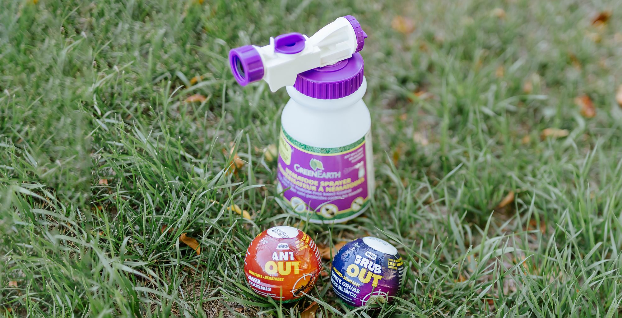 Ant Buster & Grub Buster Nematodes