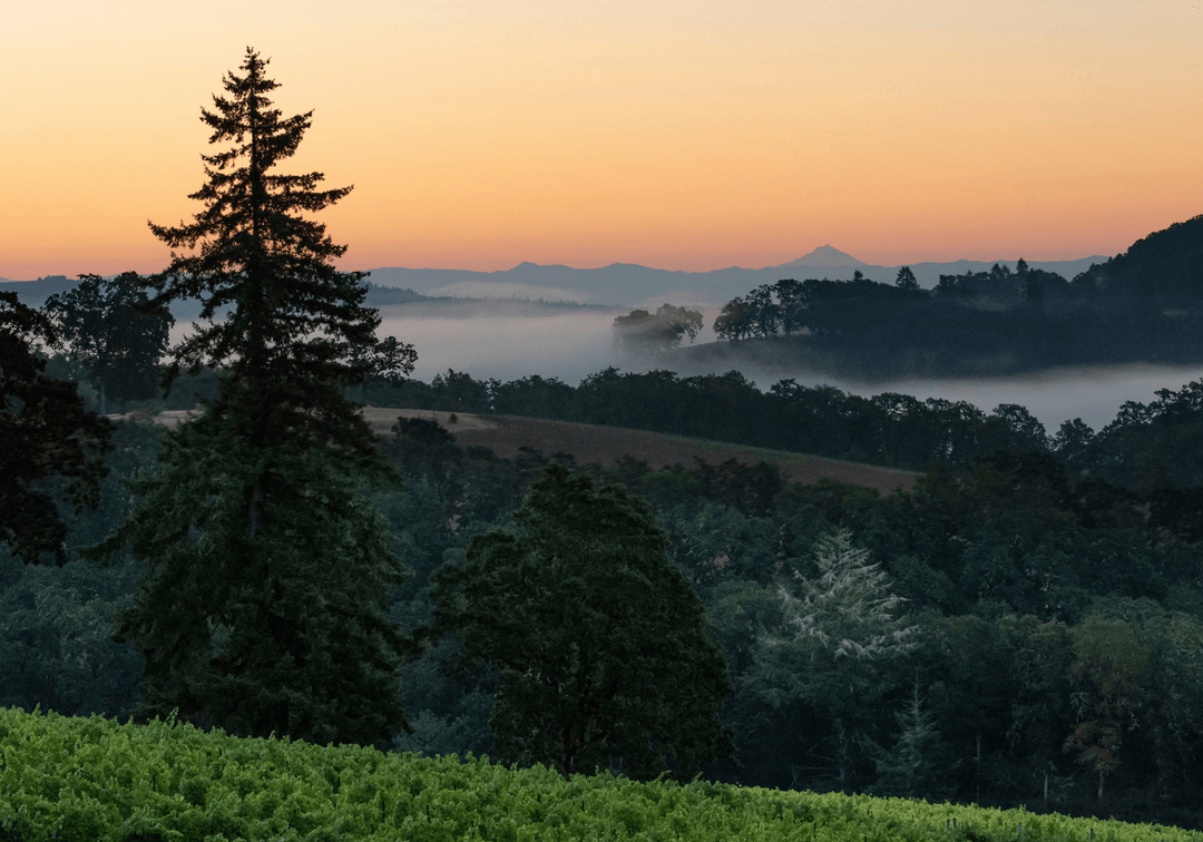 Boutique Hotel in Portland | The Jupiter | Book Your Stay