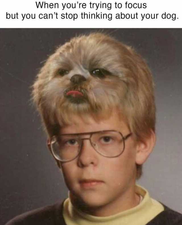 The 24 Best Focus Memes