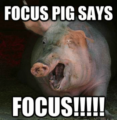The 24 Best Focus Memes