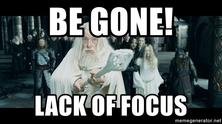 The 24 Best Focus Memes