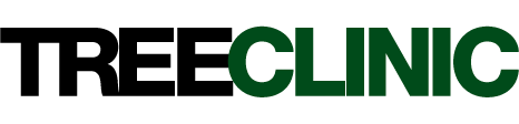 Tree Clinic - Which? Trusted Tree Surgeons