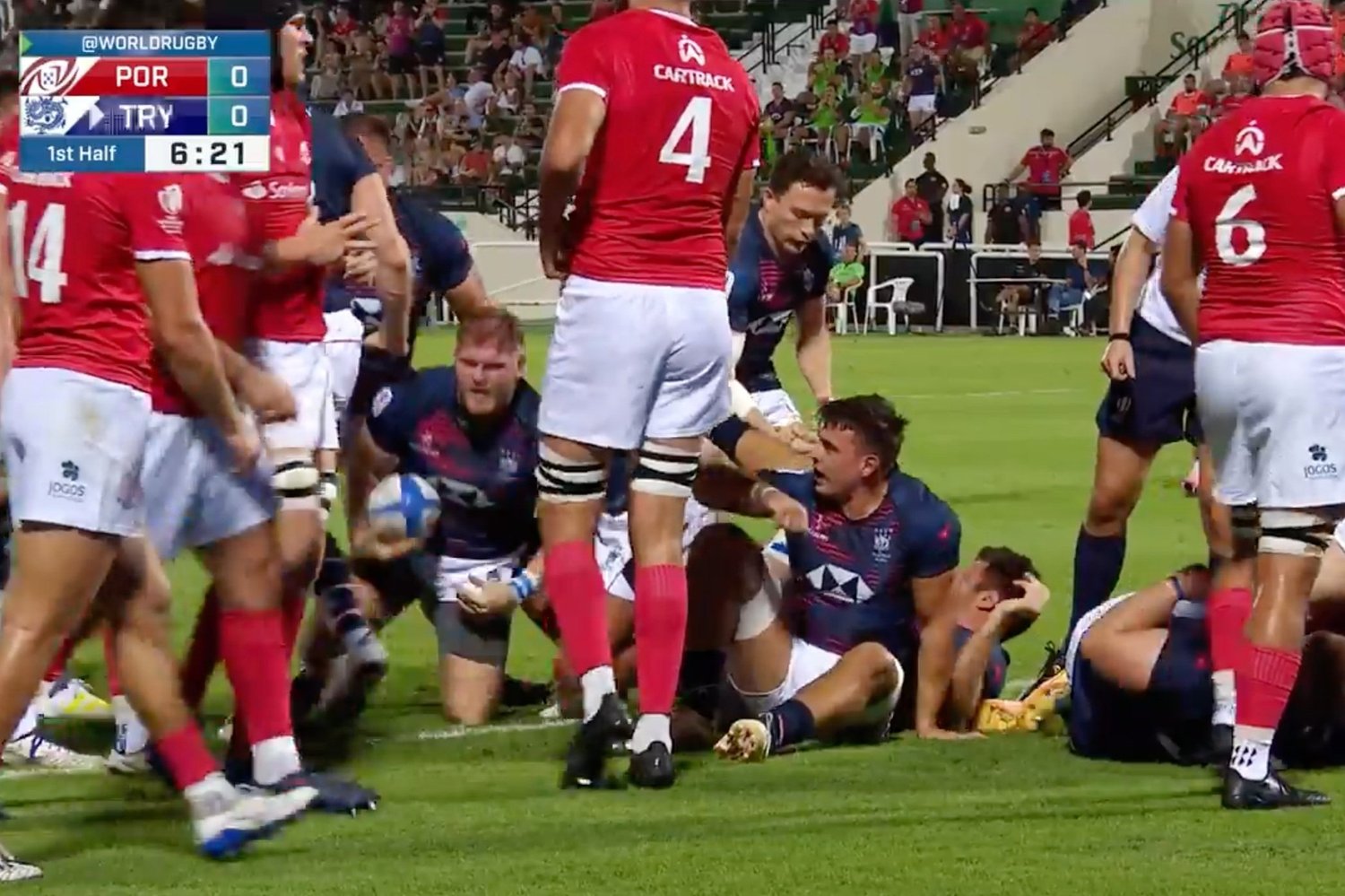 illio & the Rugby World Cup