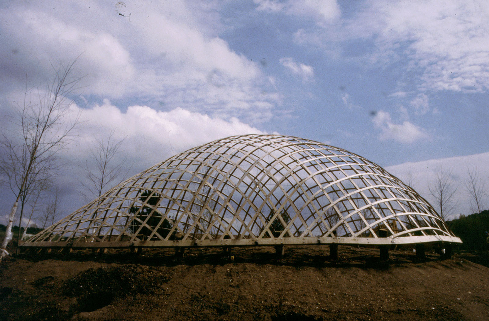 Xylotek - Earth Centre Gridshells