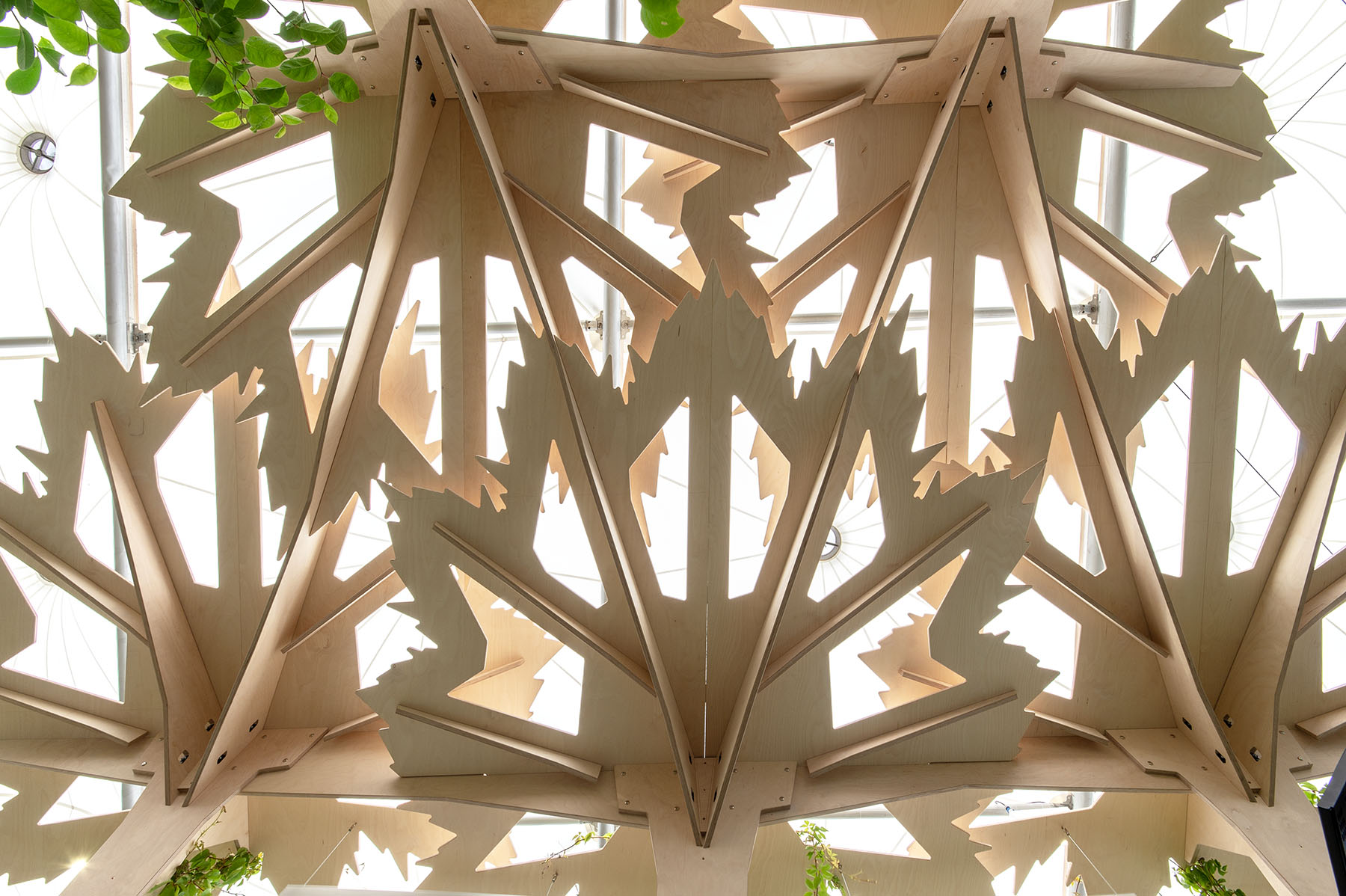 Xylotek - CNC PAVILION Invaders Pavilion - Chelsea Flower Show