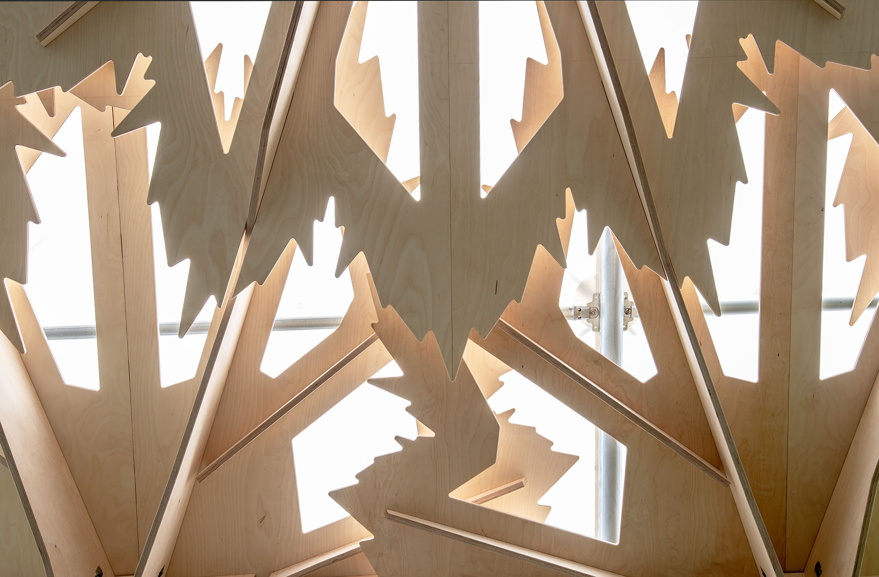 Xylotek - CNC PAVILION Invaders Pavilion - Chelsea Flower Show