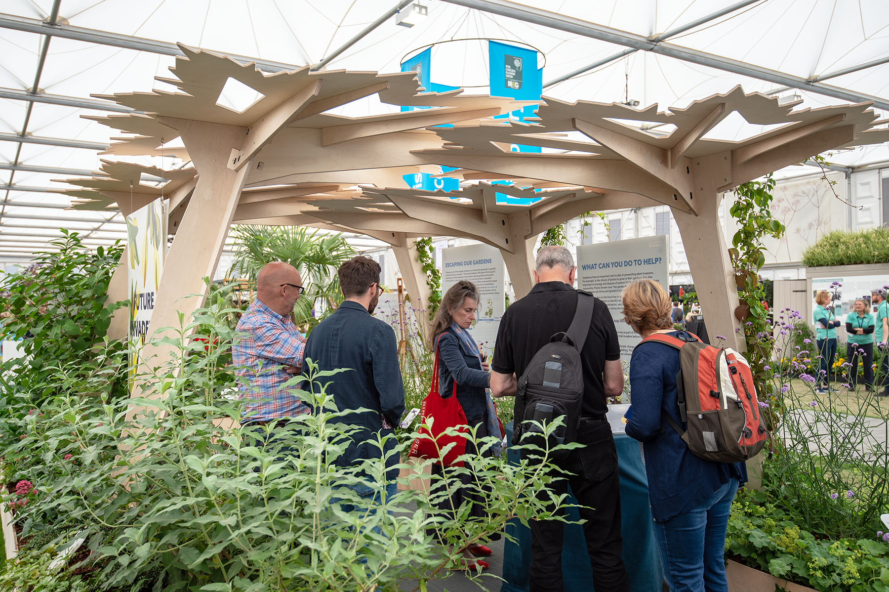 Xylotek - CNC PAVILION Invaders Pavilion - Chelsea Flower Show