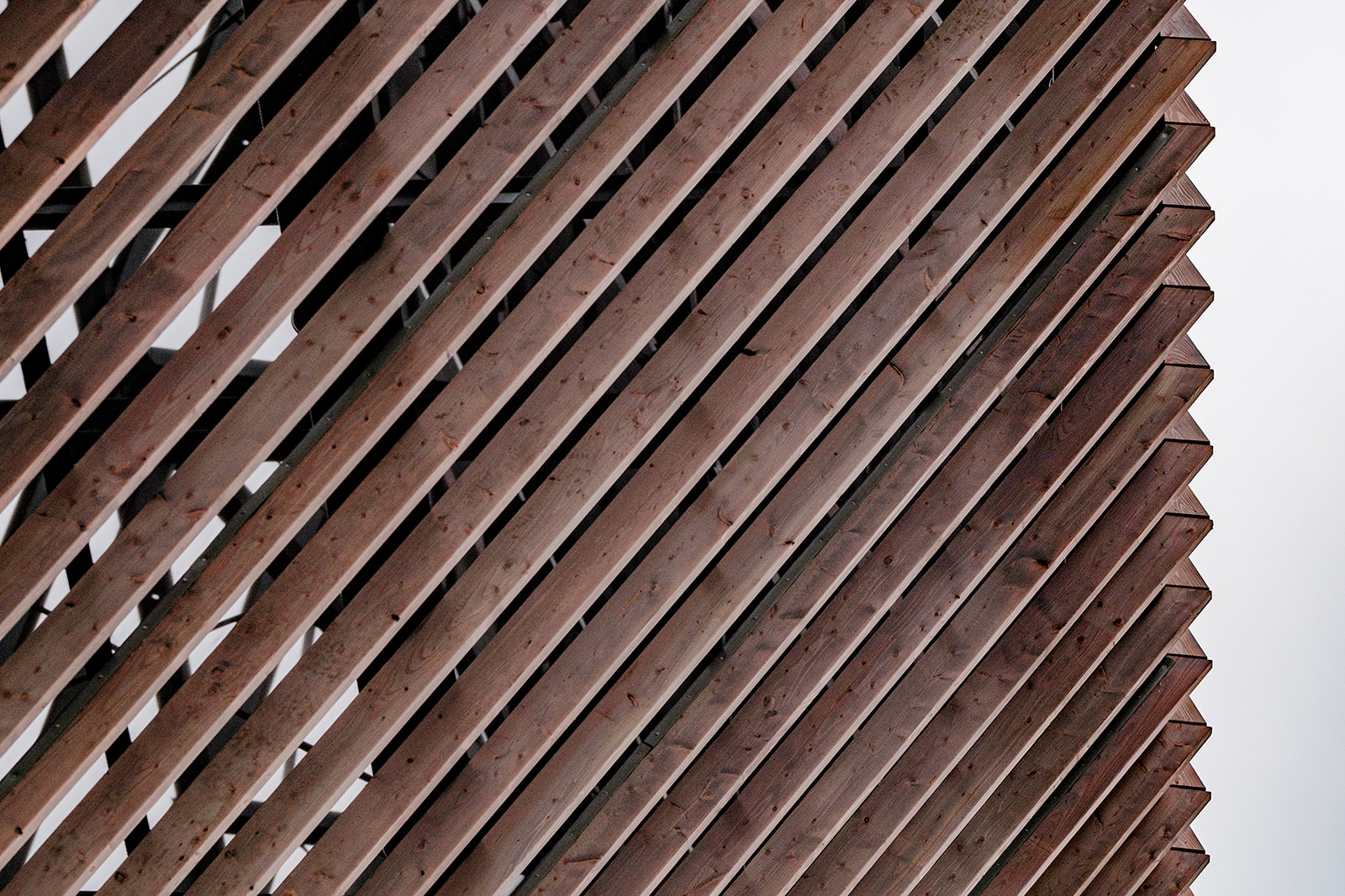 Xylotek - 7000m2 larch screen Exterior Rainscreen - ABBA Arena