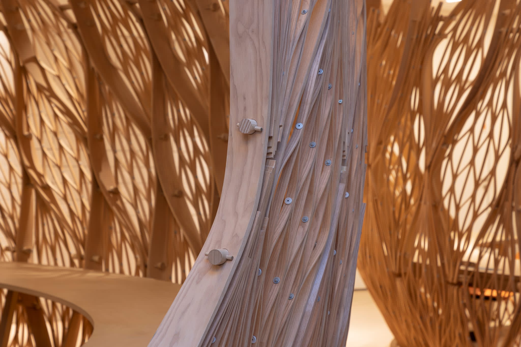 Biophilic Design: Connecting People with Nature through timber by Ollie Ley