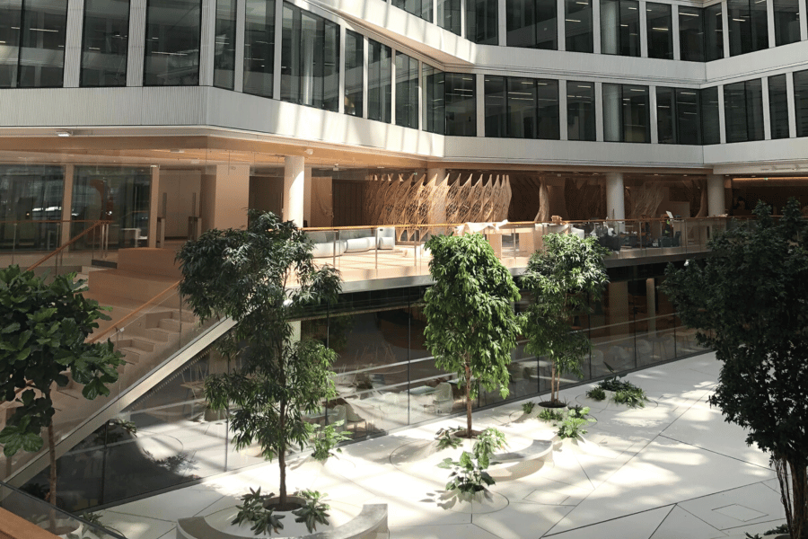 Biophilic Design: Connecting People with Nature through timber by Ollie Ley