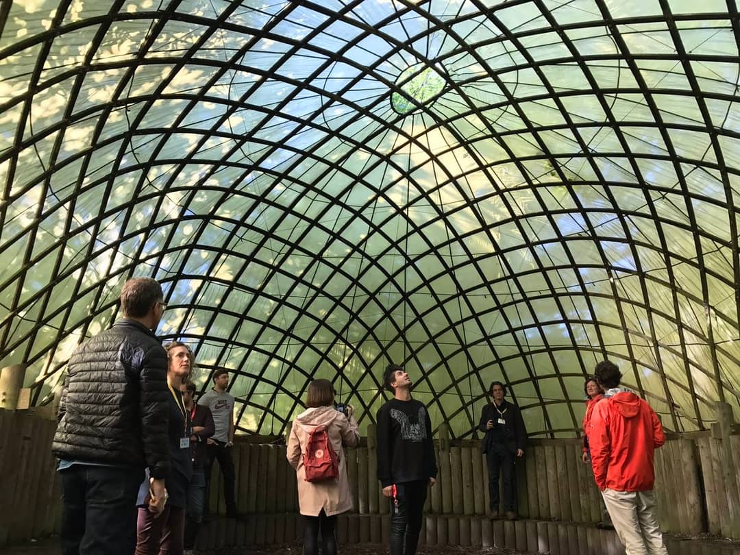 Timber Gridshells