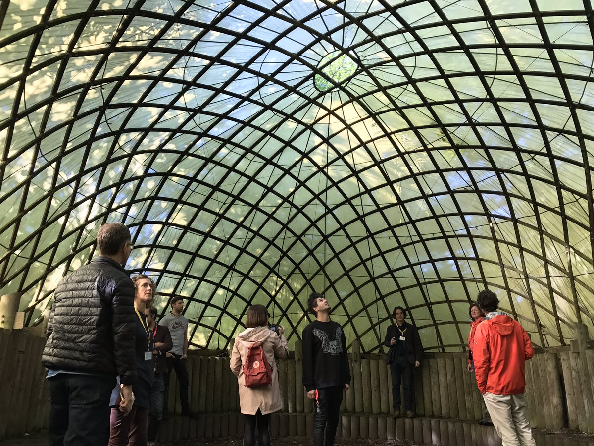 Timber Gridshells