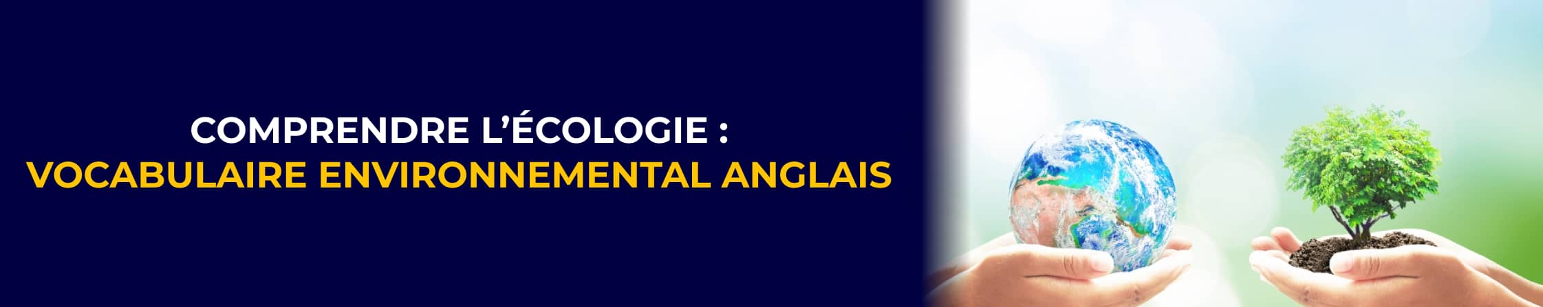 Vocabulaire Environnemental en Anglais | Cercle des Langues