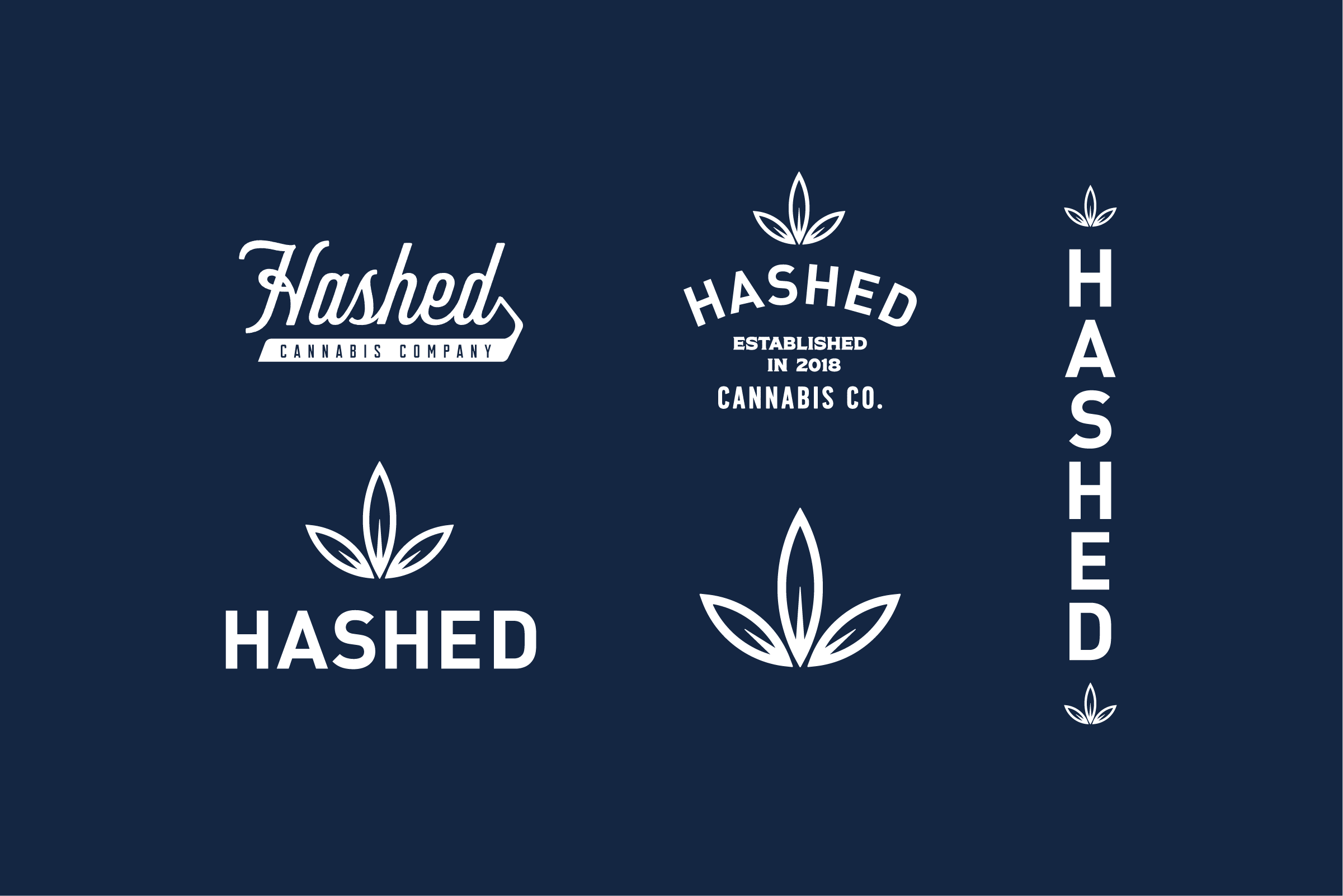 Hashed Identity and Packaging Design | Kaejon Misuraca