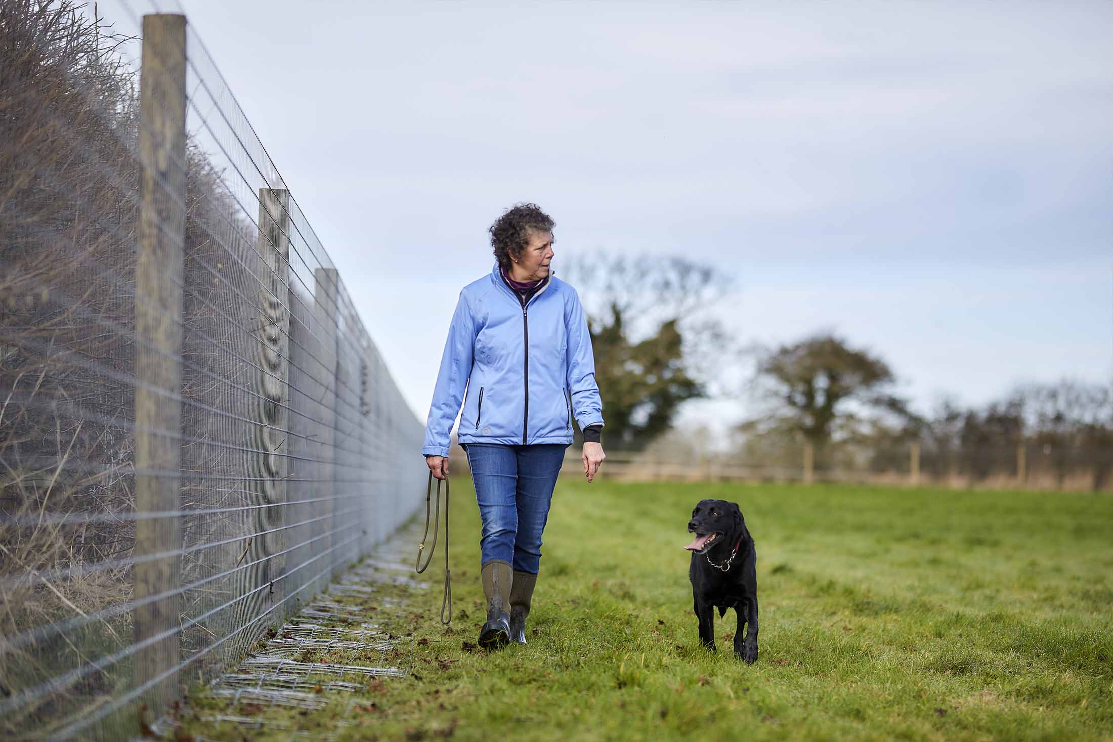 Private Dog Walks | Field Hire Norfolk | Martham Paw Ground