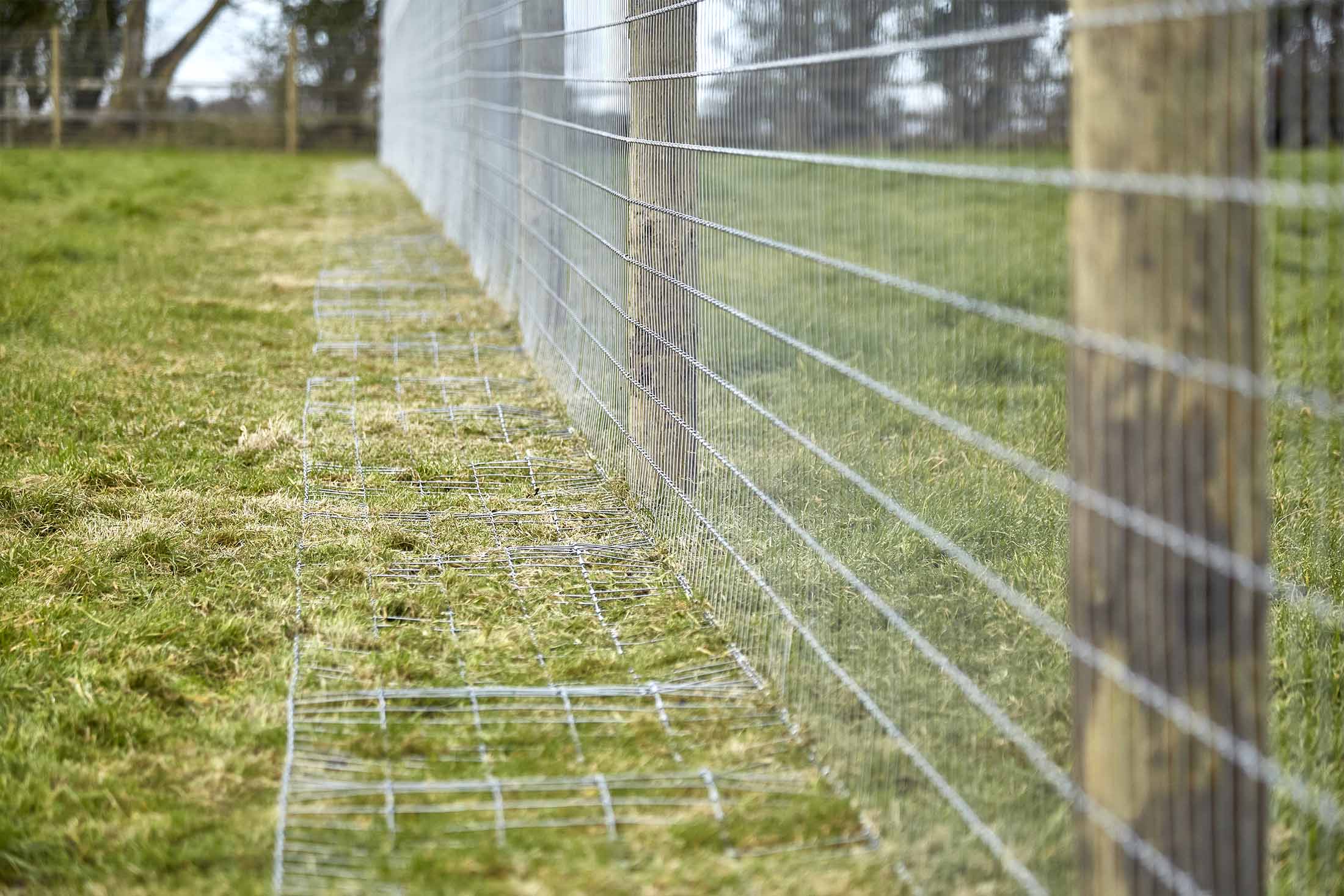 Private Dog Walks | Field Hire Norfolk | Martham Paw Ground